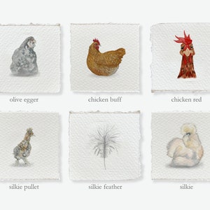 CHICKEN Minis ~ MINI Art Prints ~ Miniature Watercolor ~ Tiny Painting ...