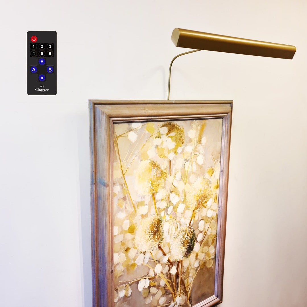 18 Inch Batery Operated LED Picture Light for Art, Paintings and Prints ...