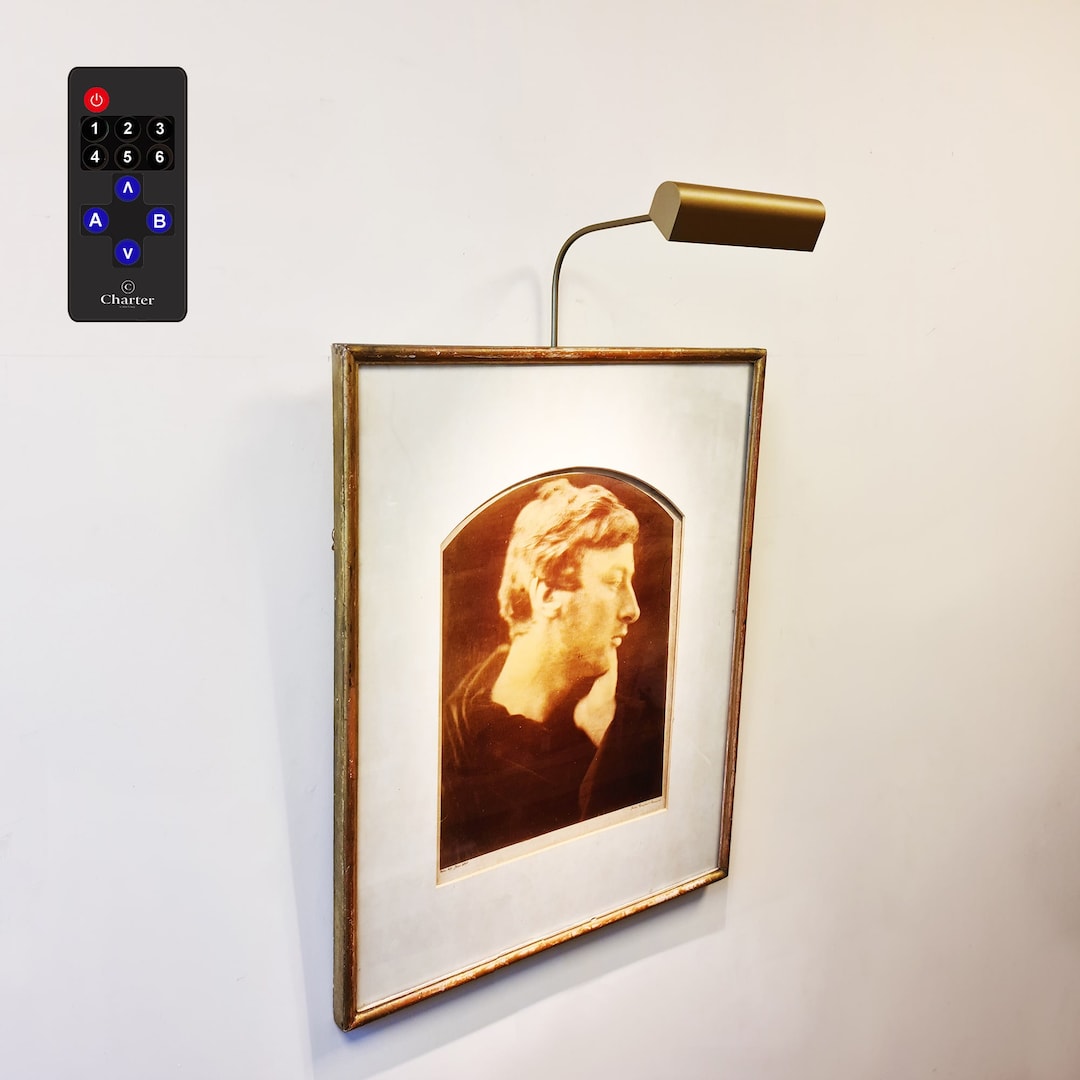 6 Inch Battery Operated LED Picture Light for Art, Paintings and Prints ...