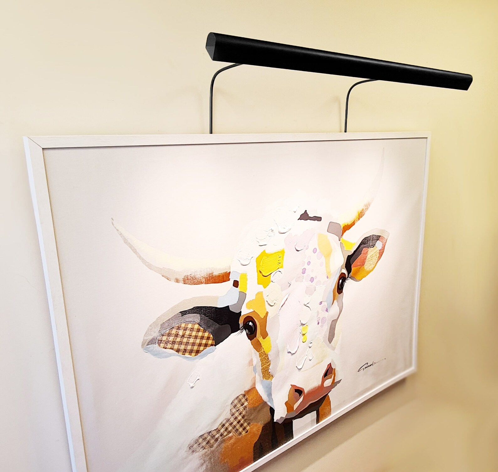 30 Inch LED Picture Light for Art, Paintings and Prints, With Various ...