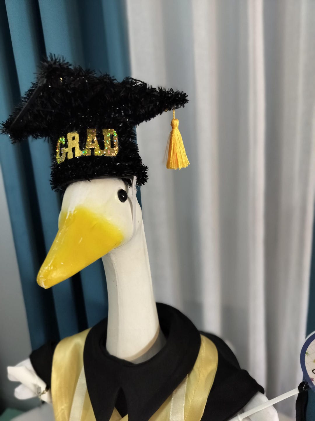 Graduation - Goose !!! Mr. Goose is Ready to Graduate and Head on Down ...