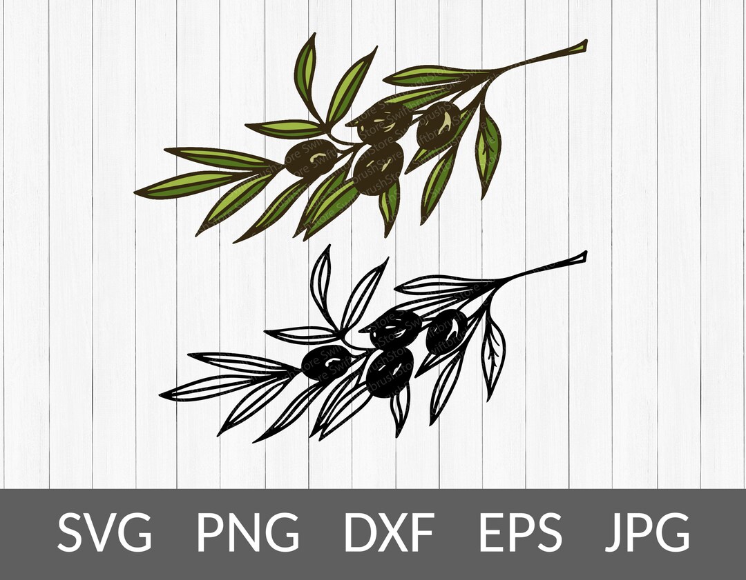 Olive Branches Svg Bundle-olive Tree Branches Clipart for Food Labels ...