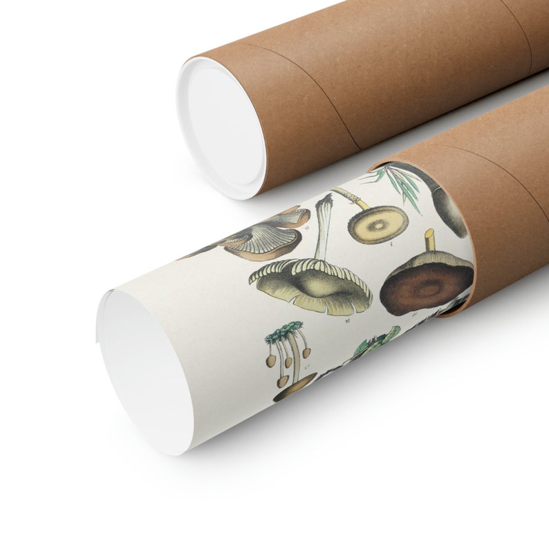 Cute Retro Poster Vintage Mushrooms Wall Art Decor, Trendy Wall ...