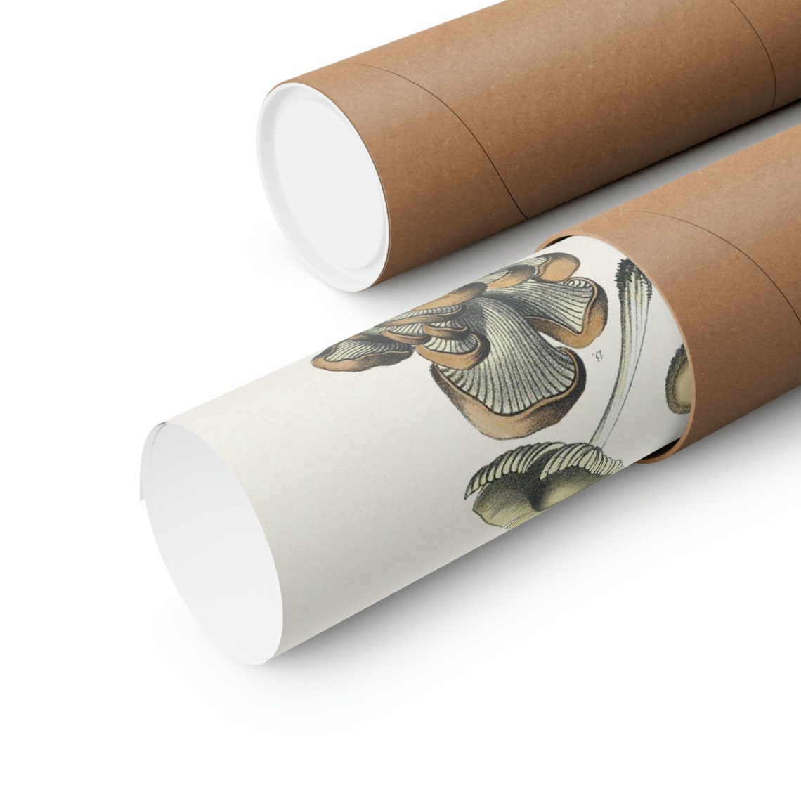 Cute Retro Poster Vintage Mushrooms Wall Art Decor, Trendy Wall ...