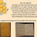 Bees for Kids - Educational Coloring Book for Children Aged 2-7 ...
