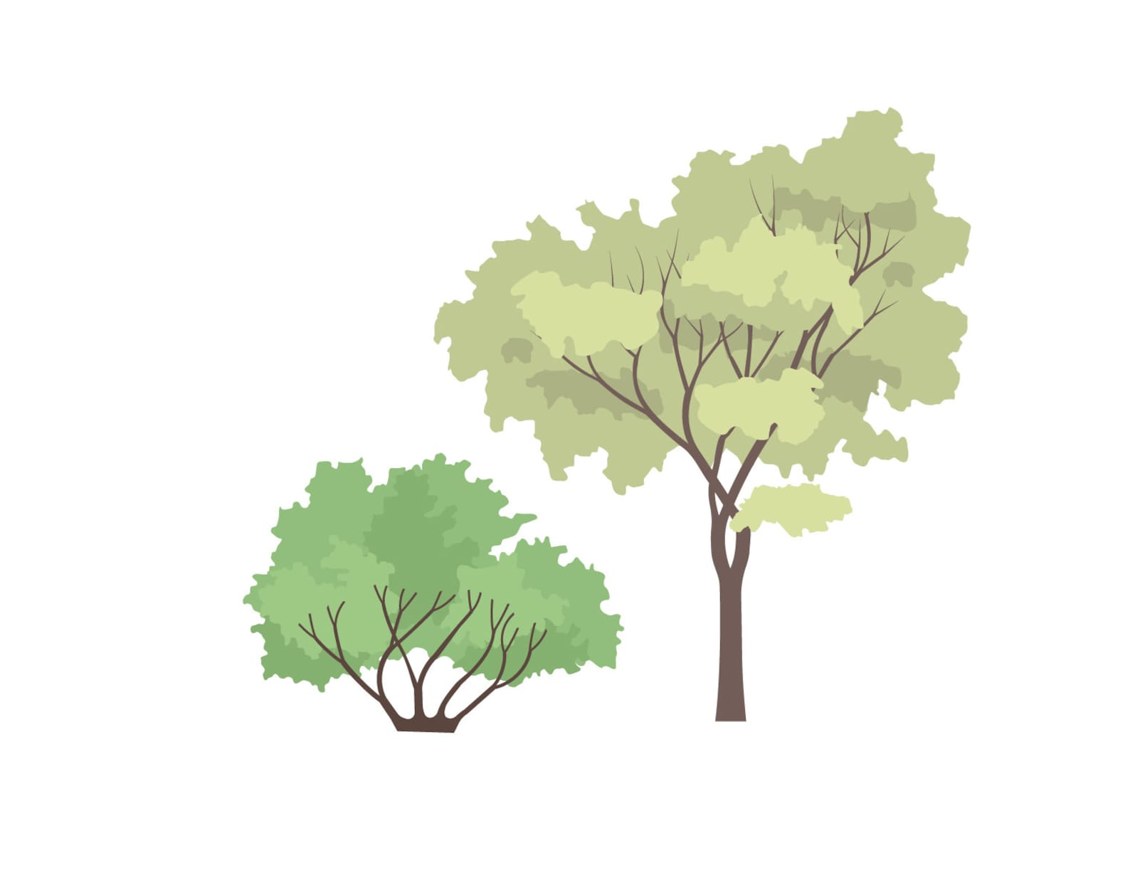 10 Set of Flat Vector Trees Clipart - Flat Vector Plant Illustration ...