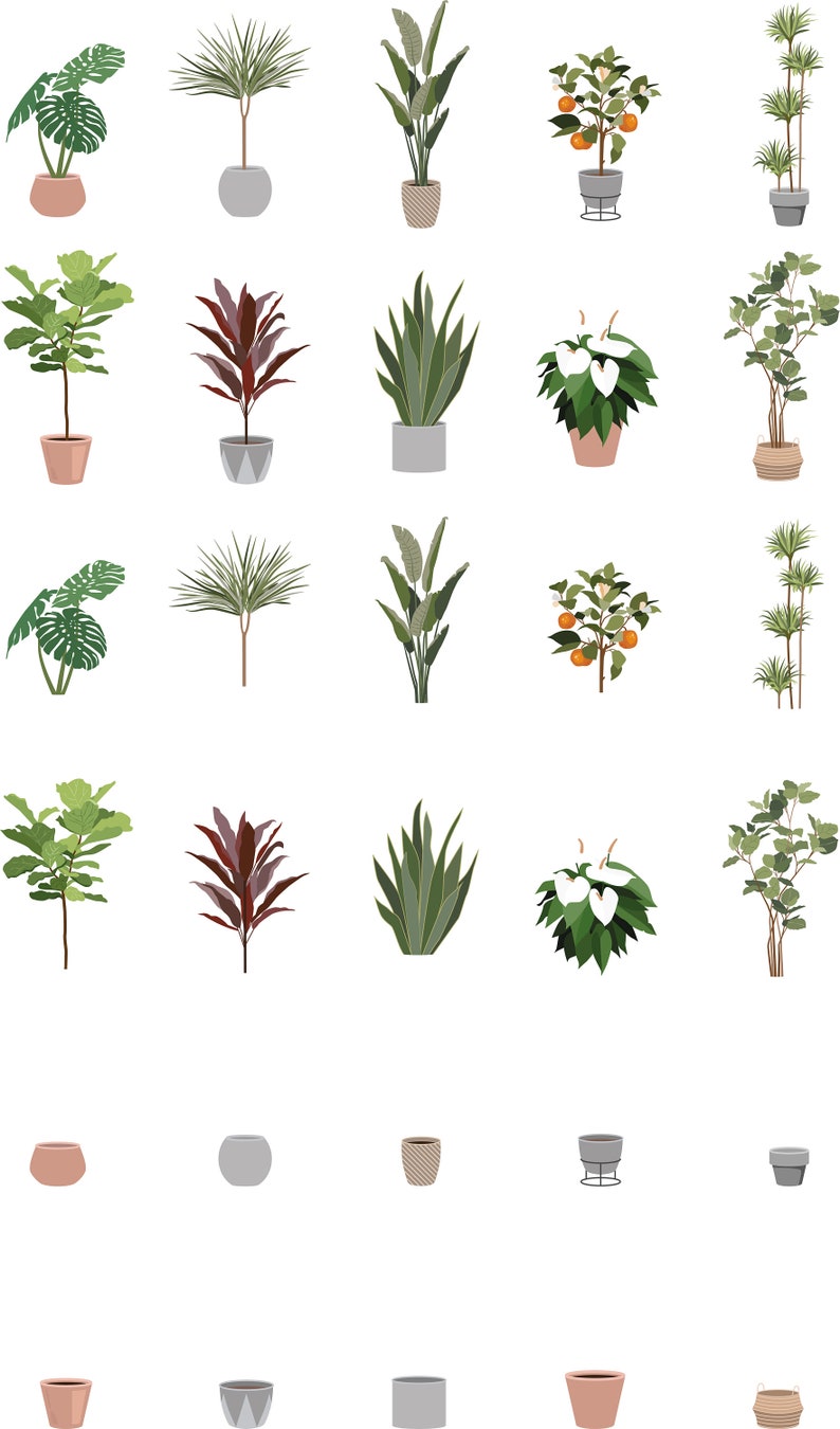 Set of House Plants Clipart Flat Vector Plant Illustration - Etsy
