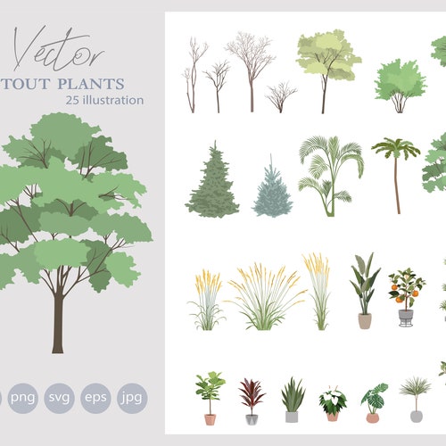 Set of House Plants Clipart Flat Vector Plant Illustration - Etsy