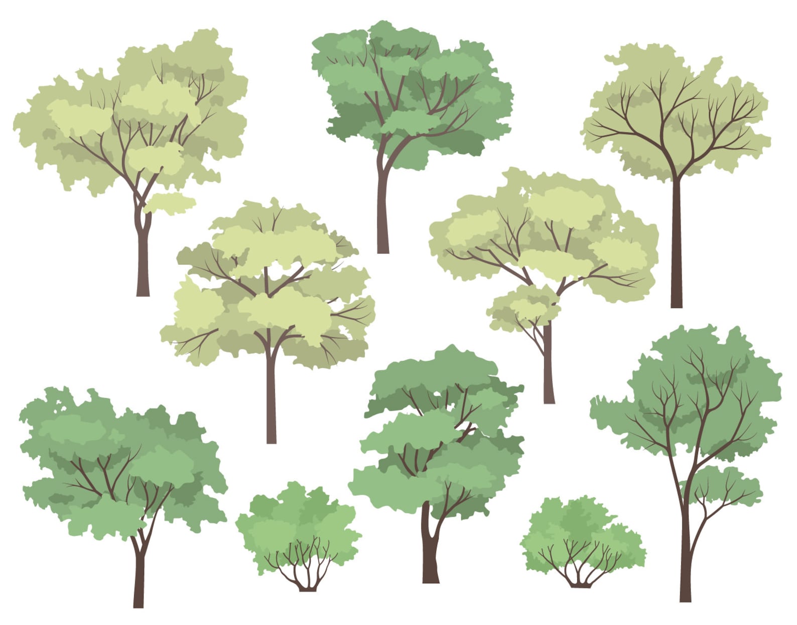 10 Set of Flat Vector Trees Clipart - Flat Vector Plant Illustration ...