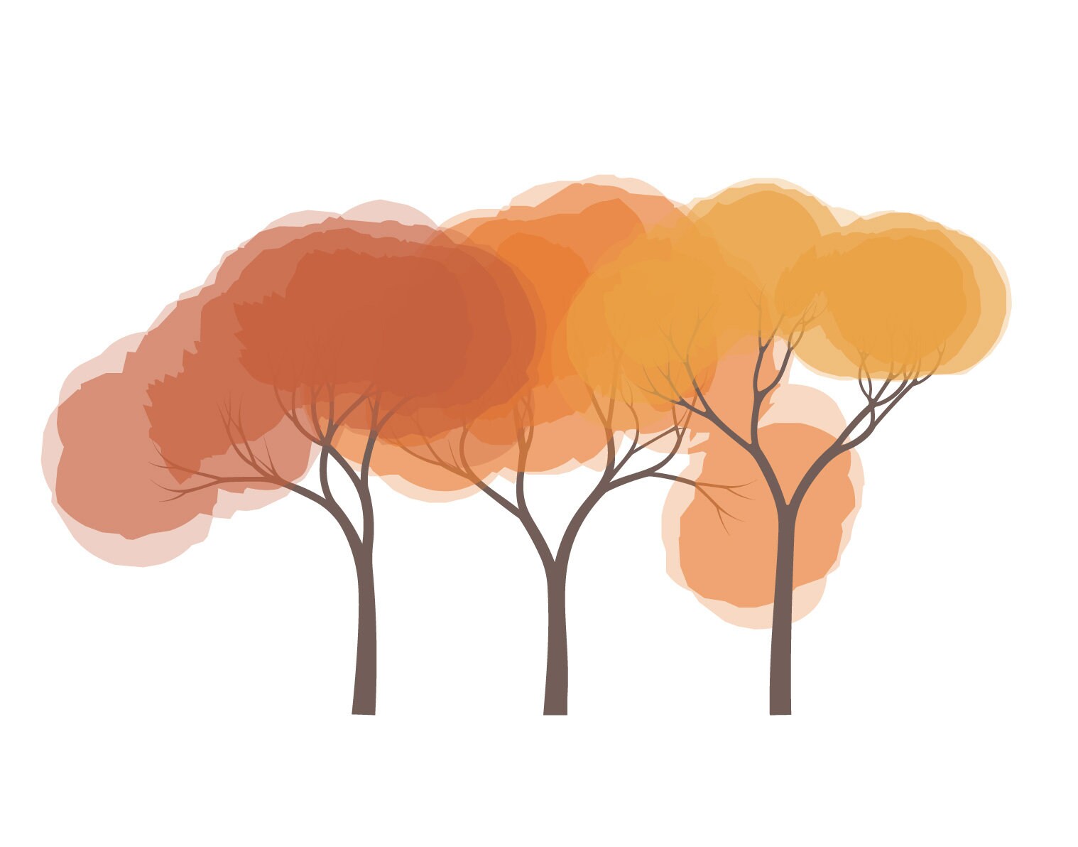 144 Set of Flat Vector Trees Clipart - Flat Vector Plant Illustration ...