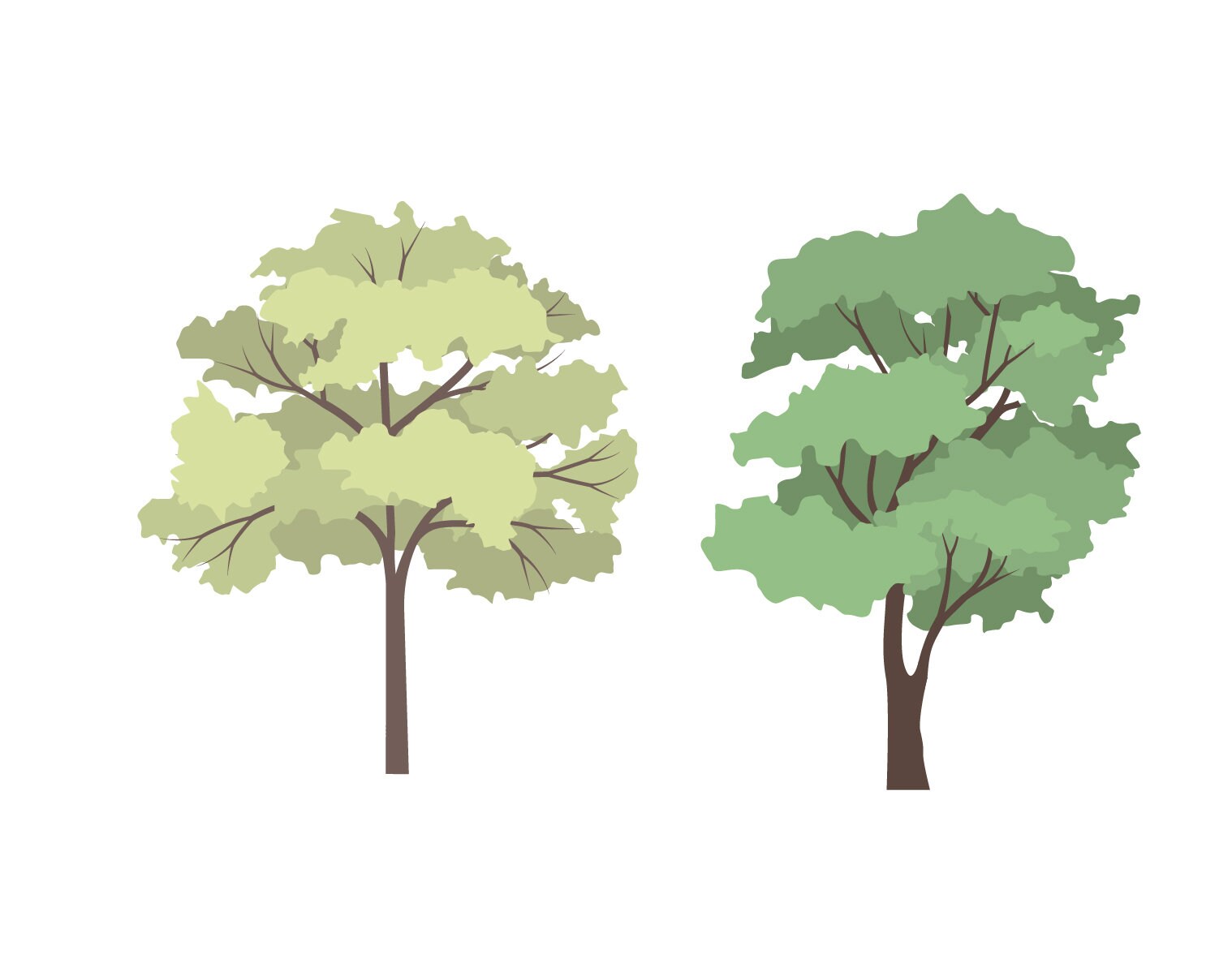 10 Set of Flat Vector Trees Clipart - Flat Vector Plant Illustration ...