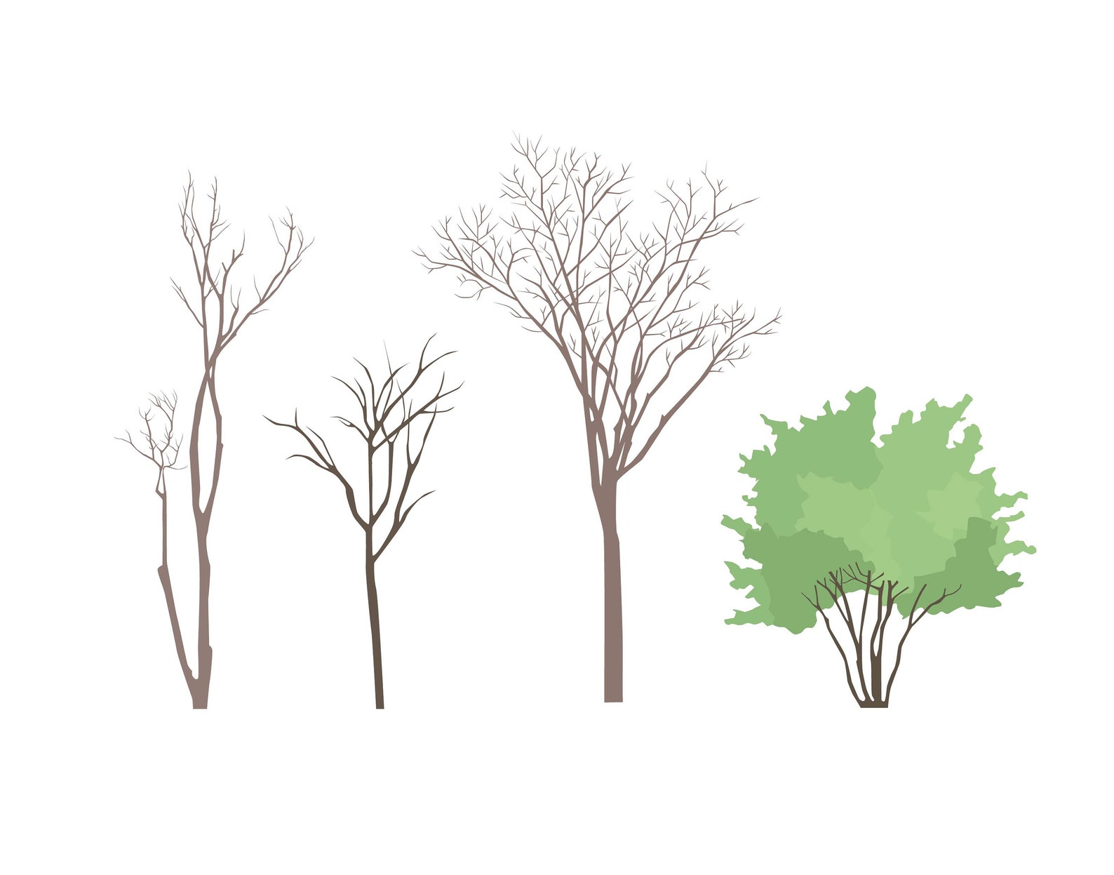 15 Set of Flat Vector Trees Clipart - Flat Vector Plant Illustration ...