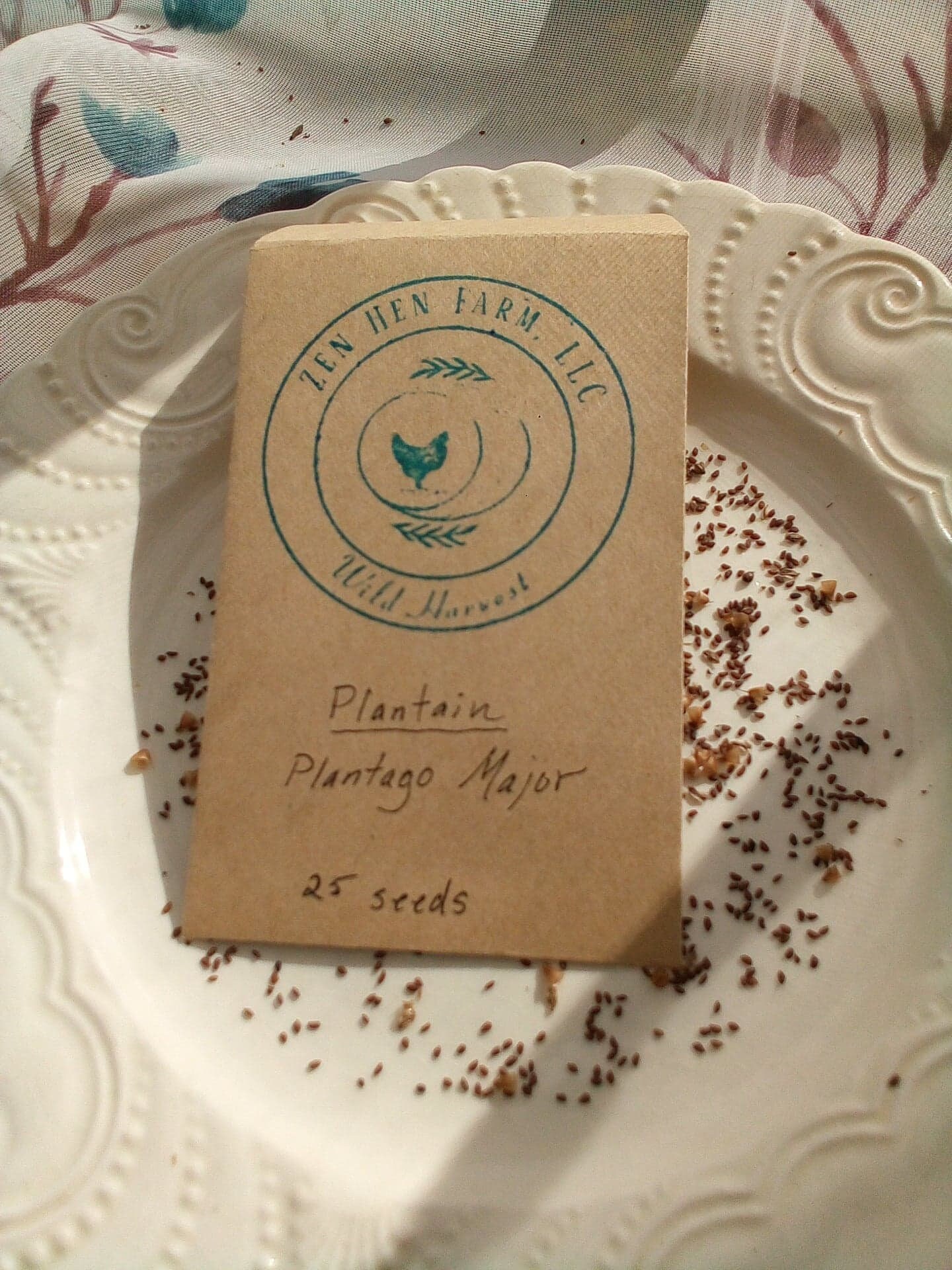 Plantain (plantago Major) Seeds (~ 100 Seeds) - Etsy