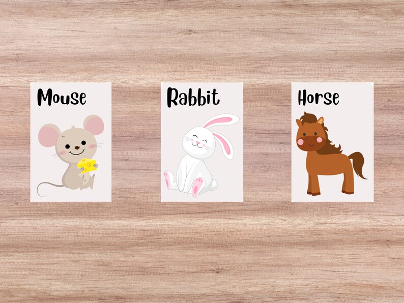 Animal Flashcards, Printable Flash Cards for Kids, Vocabulary Cards ...