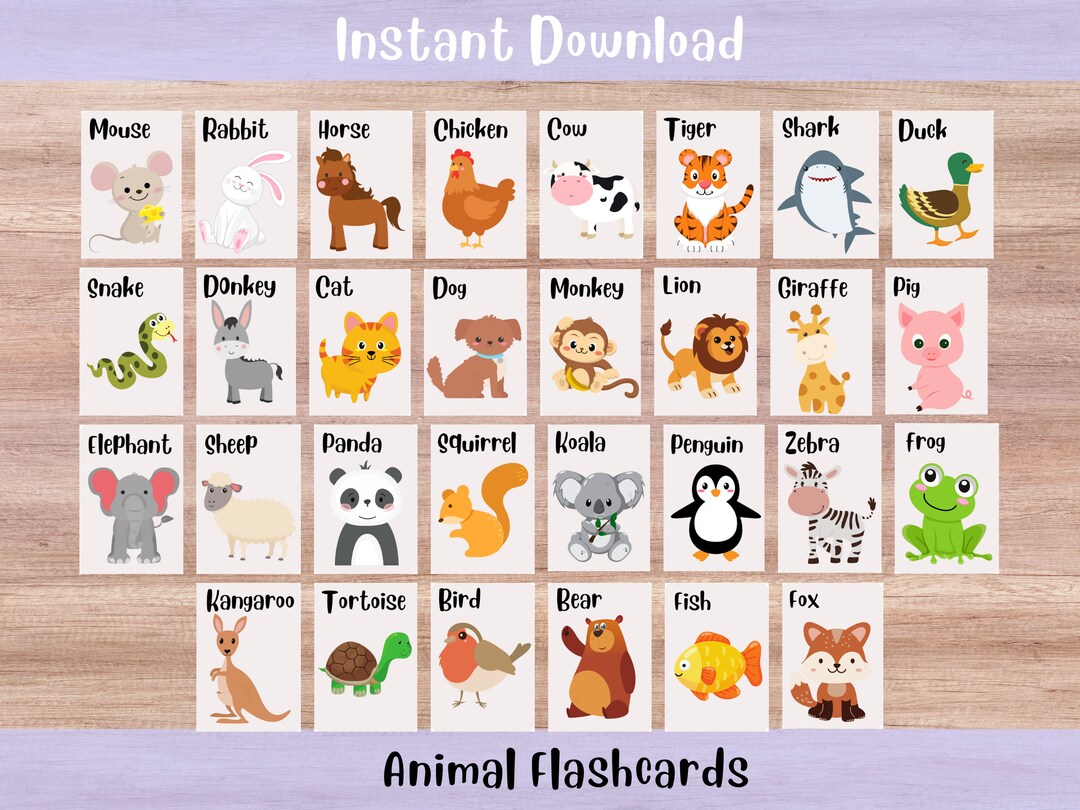 Animal Flashcards, Printable Flash Cards for Kids, Vocabulary Cards ...
