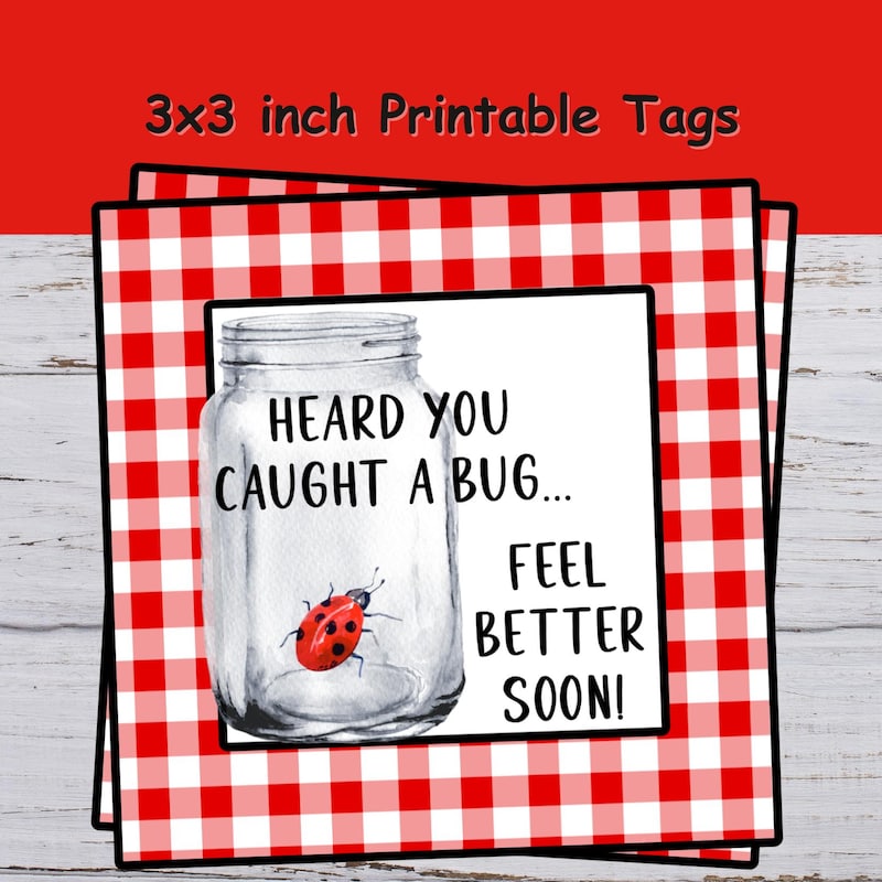 Bug Get Well Card - Etsy