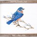 Bluebird Print, Bluebird PNG, Bluebird Printable Wall Art, Bluebird ...