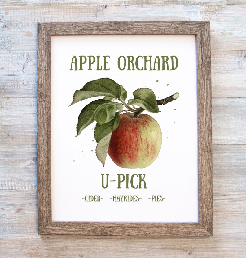 Apple Wall Art, Apple Orchard Printable, Fall Theme Digital Download ...