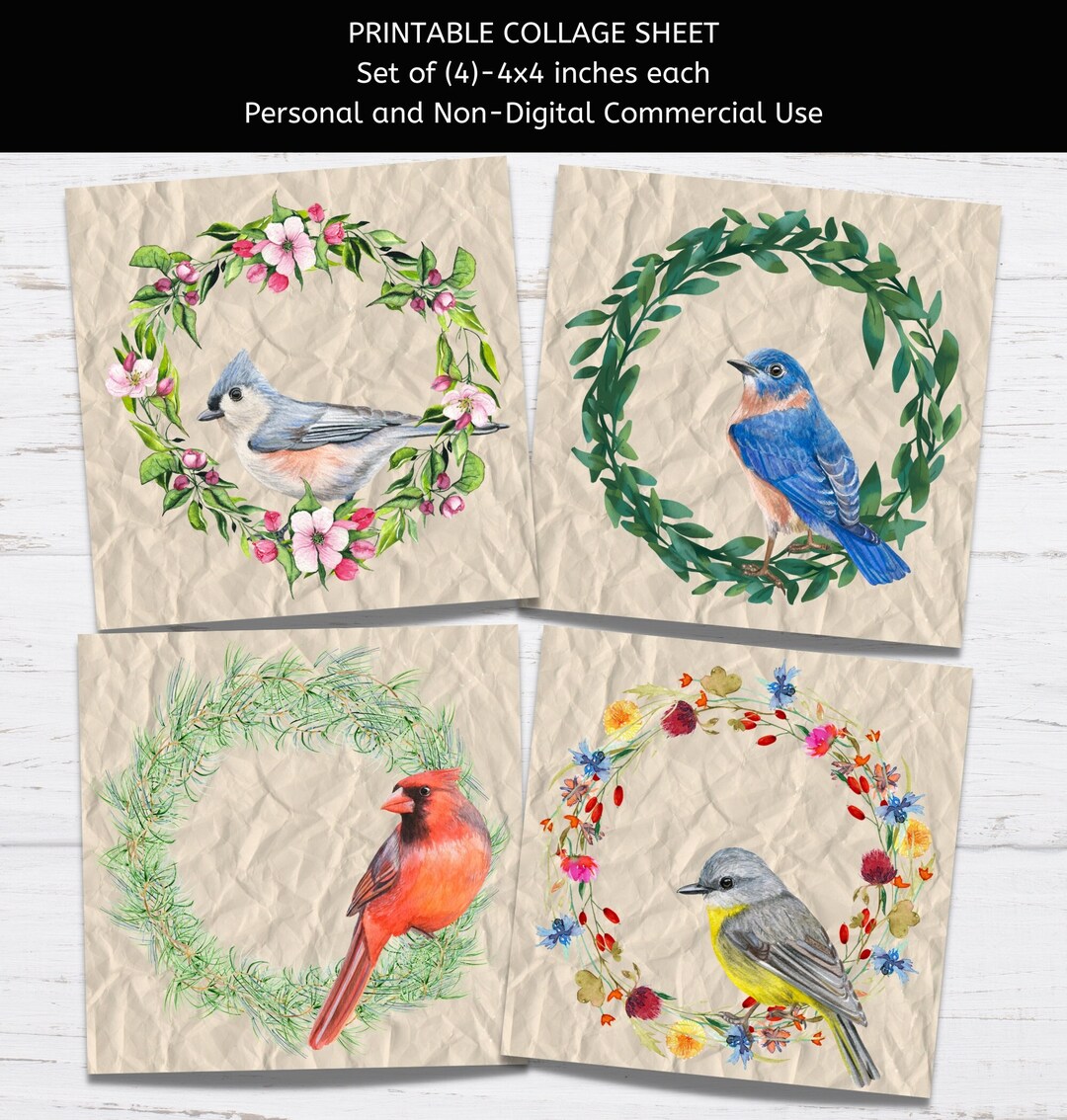 Birds Collage, Printable Birds Clipart, Birds Design, Bird Coaster ...