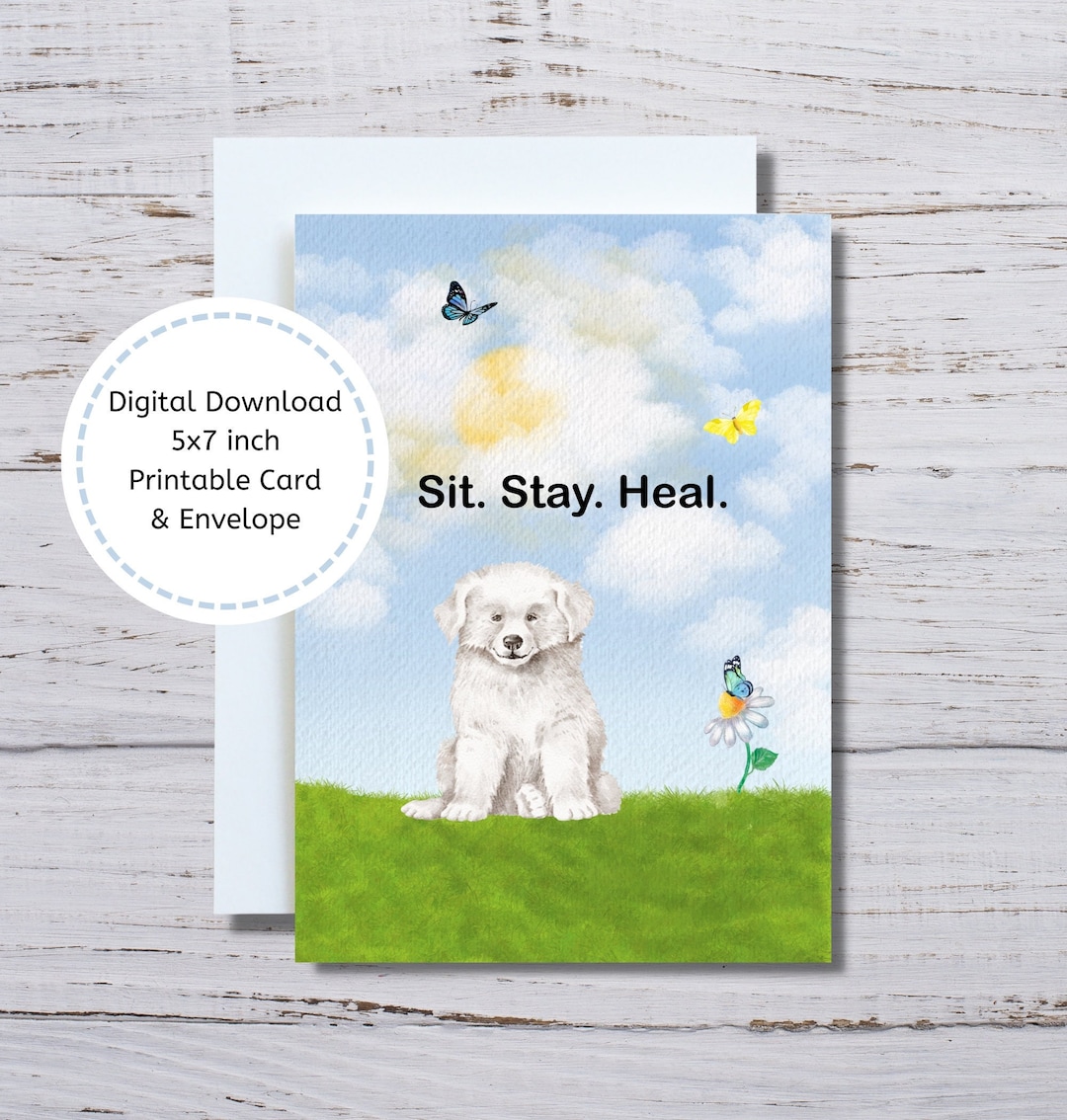 Get Well Card, Printable White Dog Get Well Card, Great Pyrenees Get ...