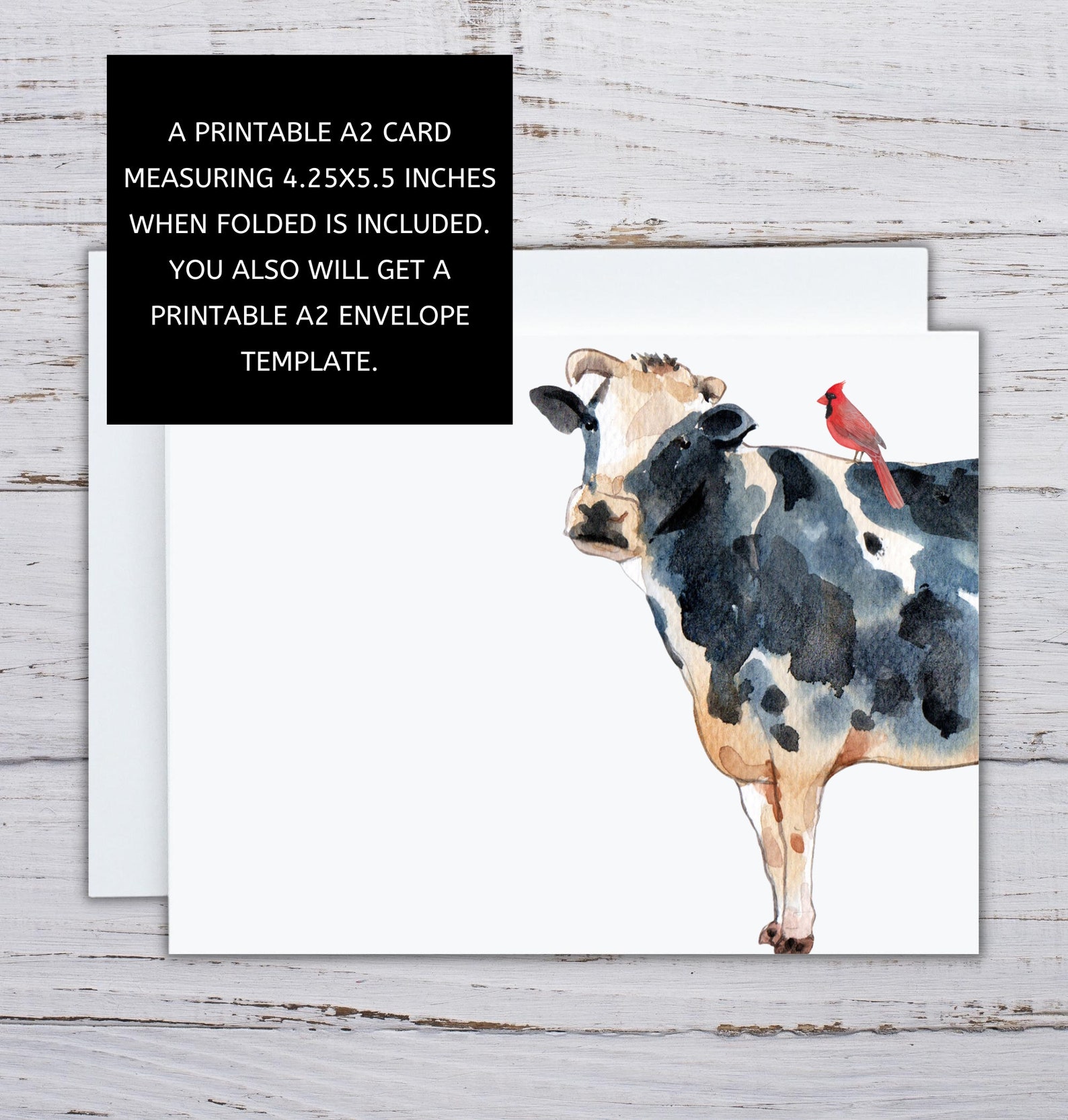 Cow Notecards, Printable Postcards, Cow Greeting Card, Blank Cow Cards ...