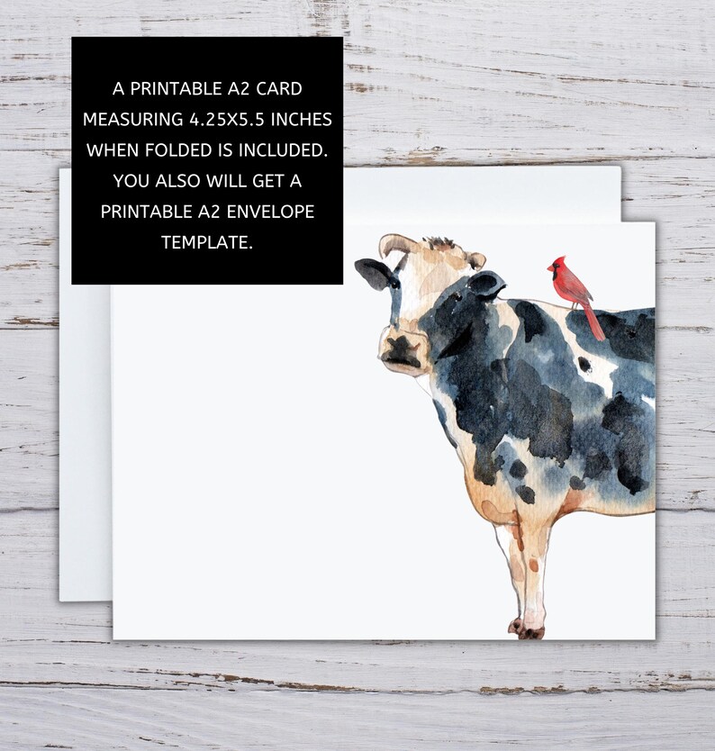 Cow Notecards, Printable Postcards, Cow Greeting Card, Blank Cow Cards ...