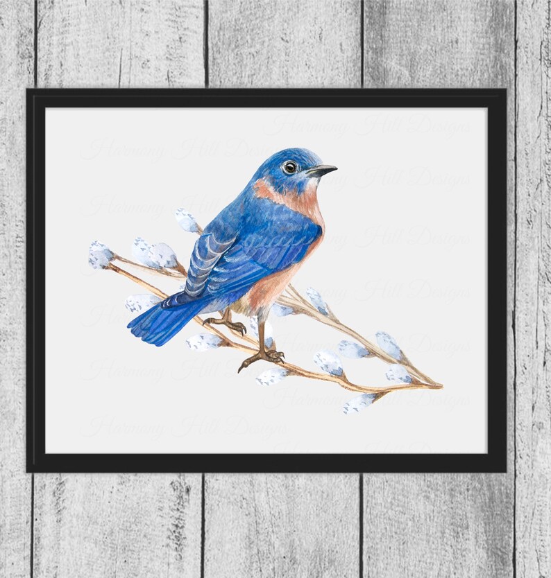 Bluebird Print Bluebird PNG Bluebird Printable Wall Art - Etsy
