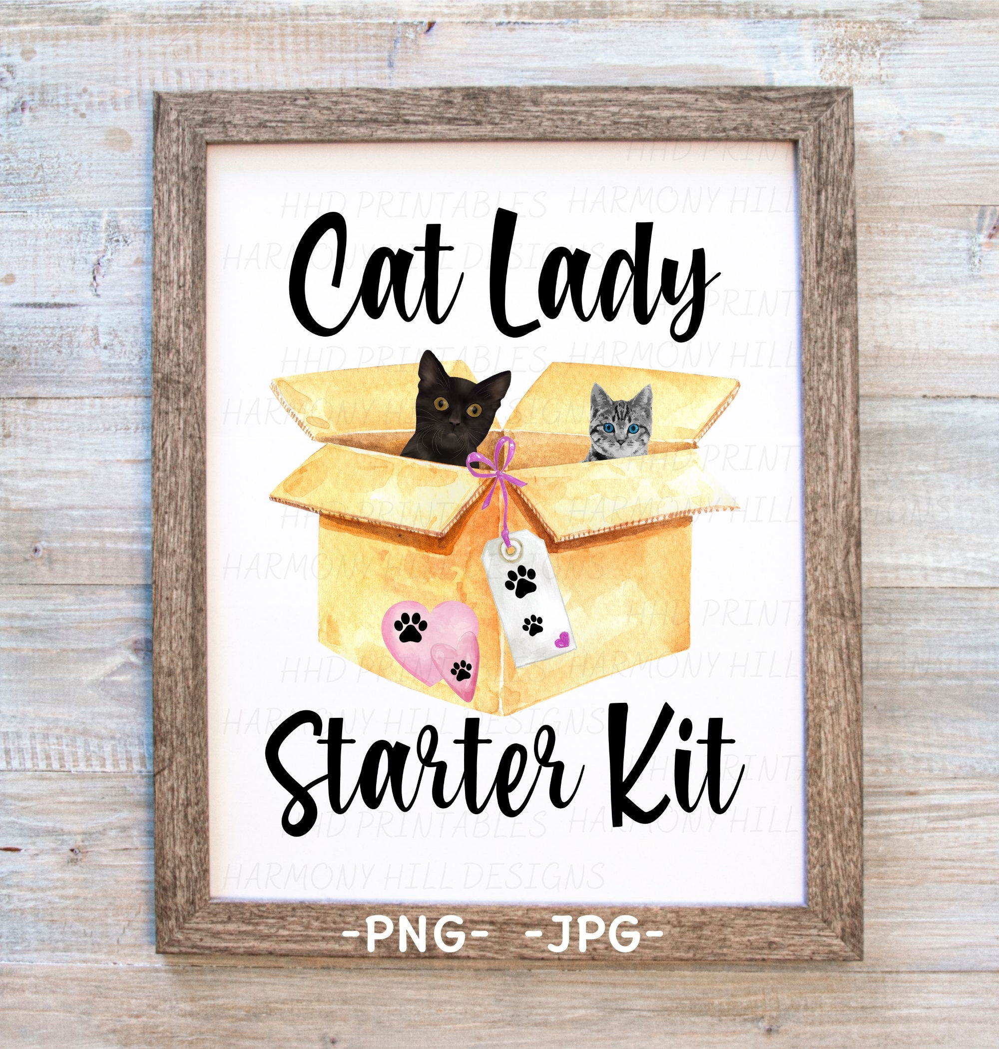 Crazy Cat Lady Starter Kit Envelope