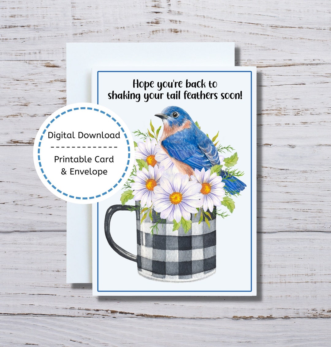 Shake Your Tail Feathers Card, Printable Bluebird Get Well Card, Bird ...