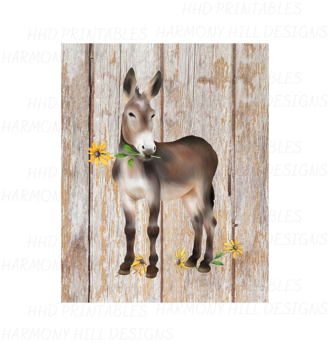 Donkey Printable Donkey Print PNG JPG Sublimation Donkey - Etsy