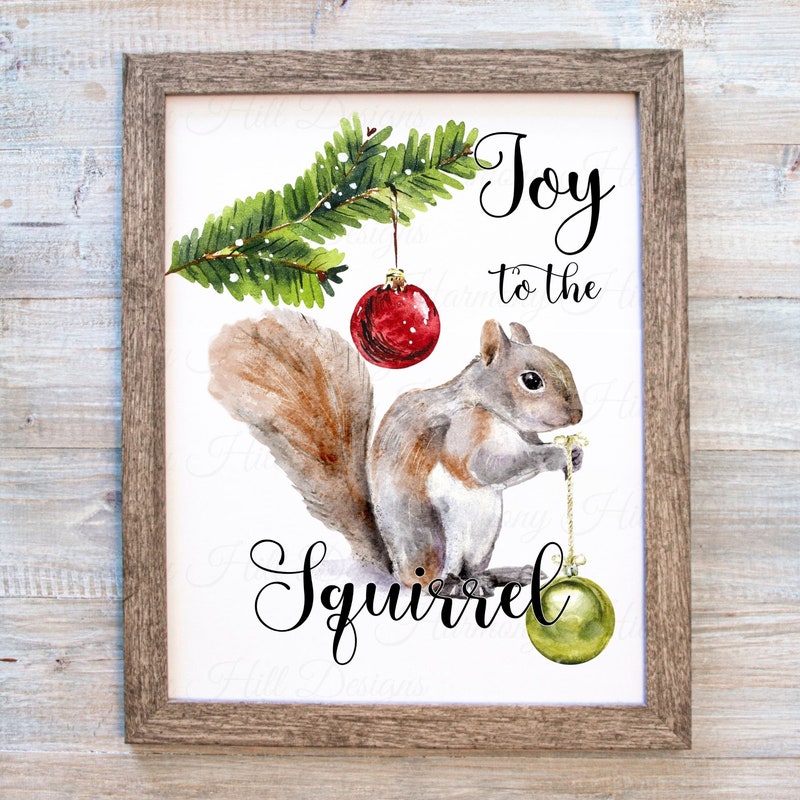Squirrel Decor - Etsy