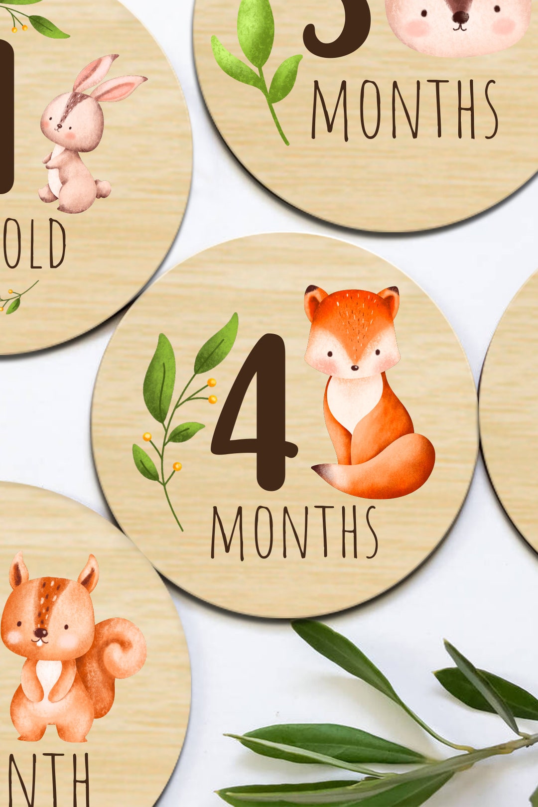Woodland Animals Wooden Milestone Cards Baby Wooden Circles - Newborn ...