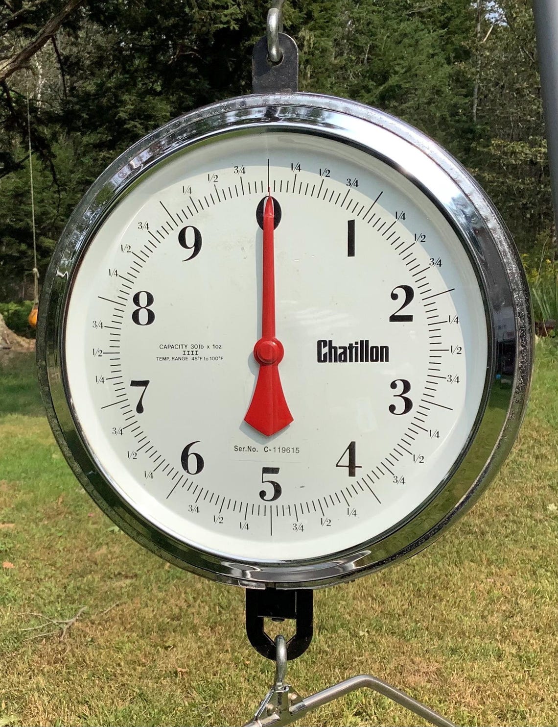 Vintage Clean Two-sided 30 Lb. Chatillon Hanging Grocery Scale Accurate ...