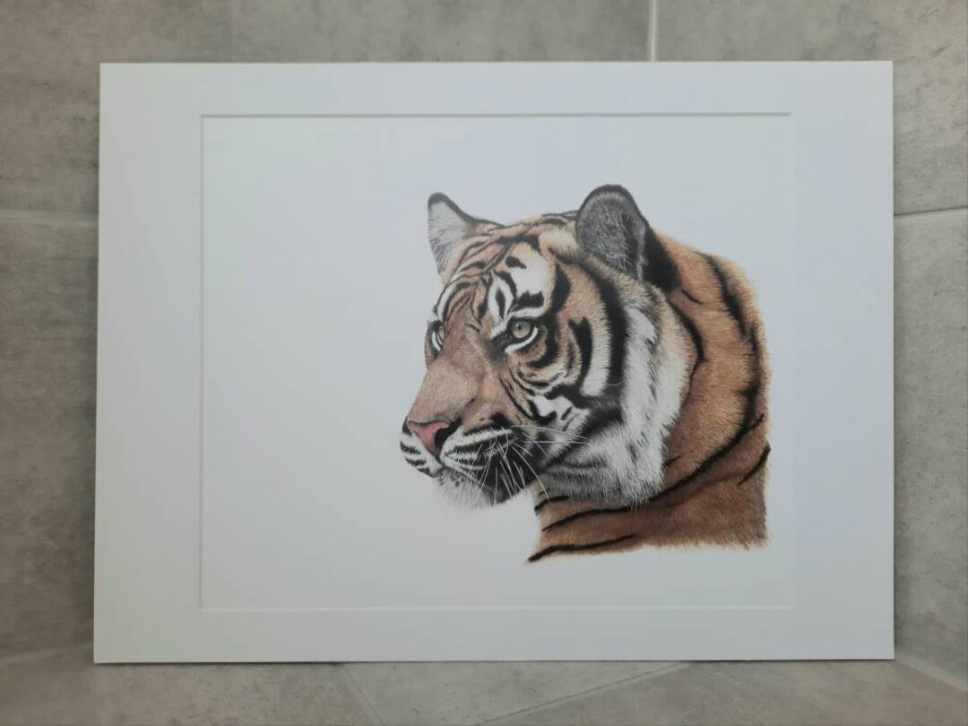 Patience (limited Edition Print) - Etsy