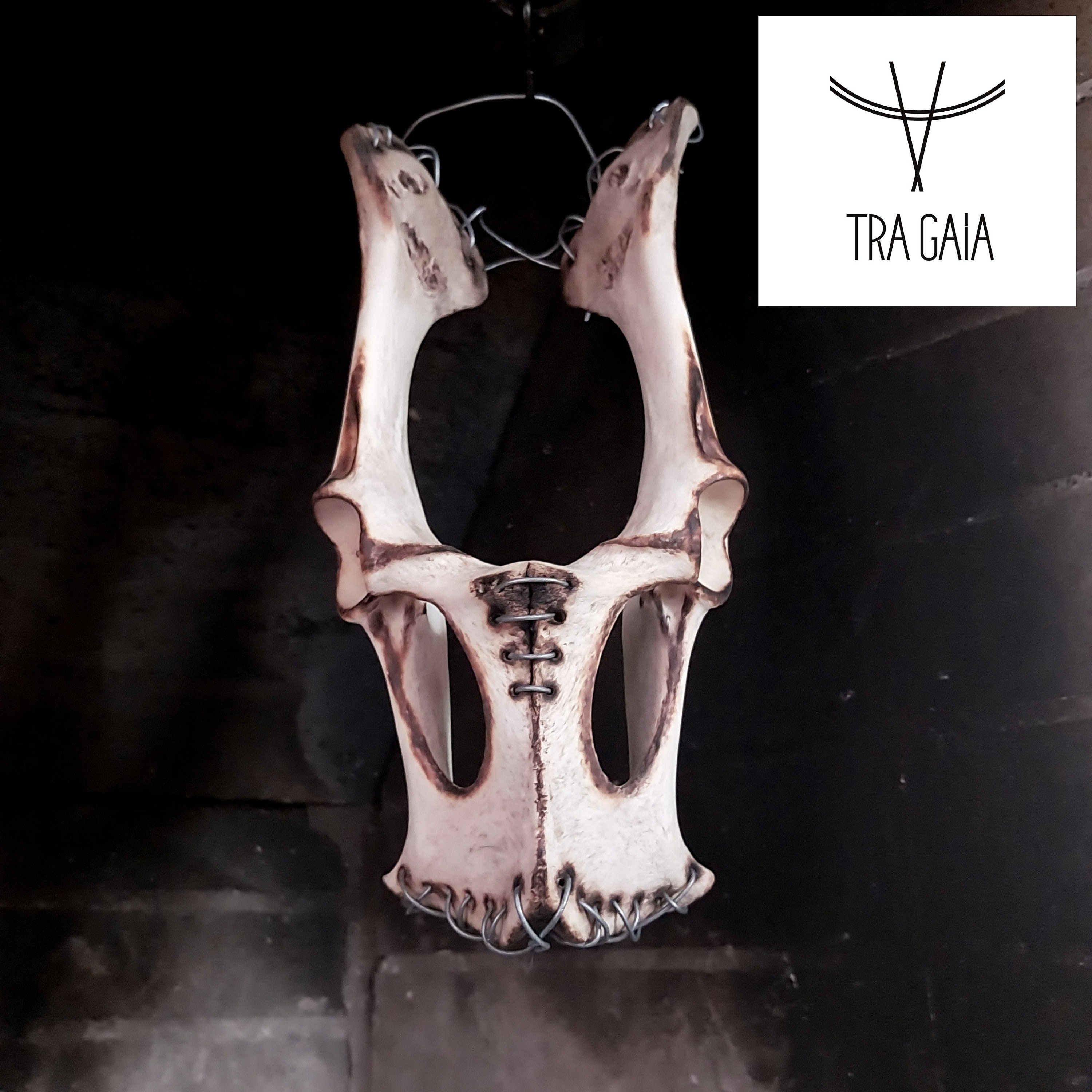 Pelvis Bone Mask - Etsy