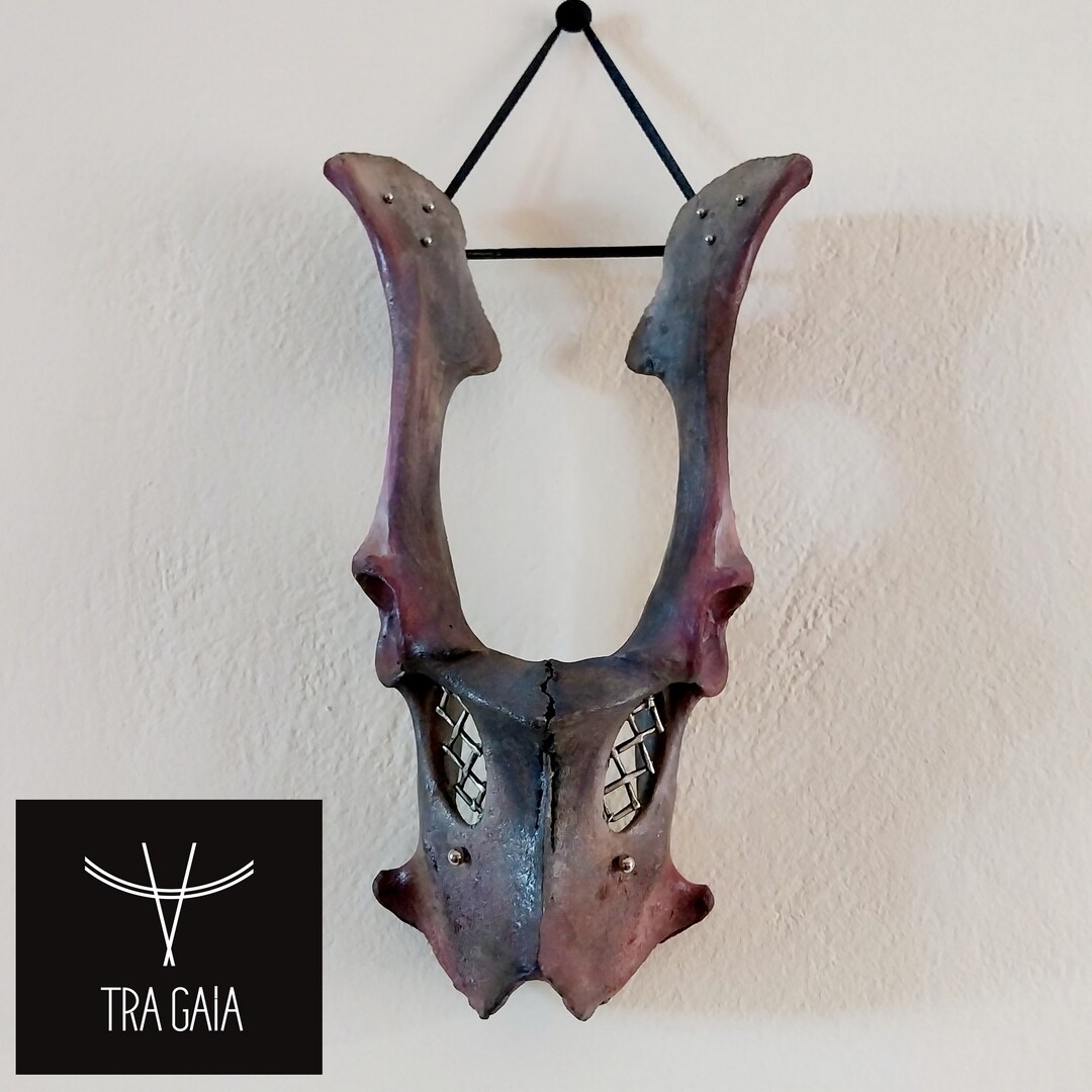 Pelvis Bone Mask - Etsy