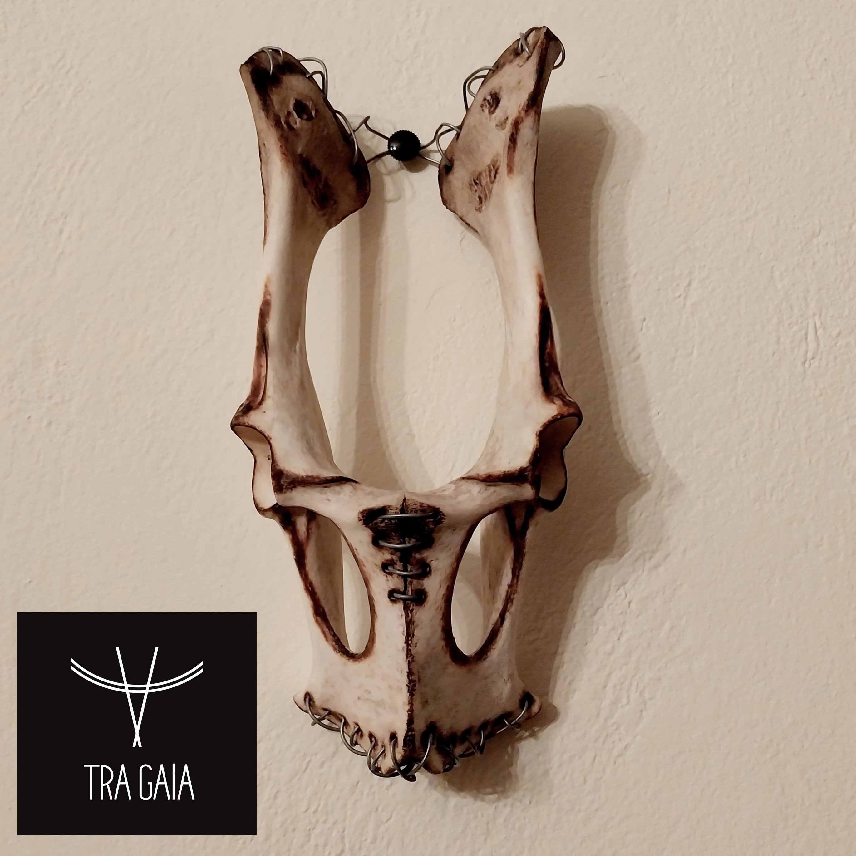 Pelvis Bone Mask - Etsy