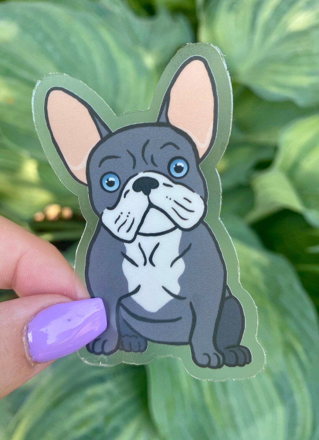 French Bulldog Sticker Grey Frenchie, Dog, Dishwasher Safe, Laptop and ...
