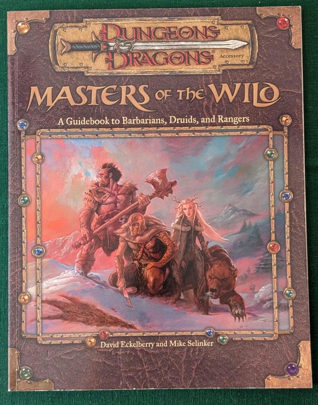 Masters of the Wild: D&D 3e Barbarians, Druids, Rangers Guidebook - Etsy