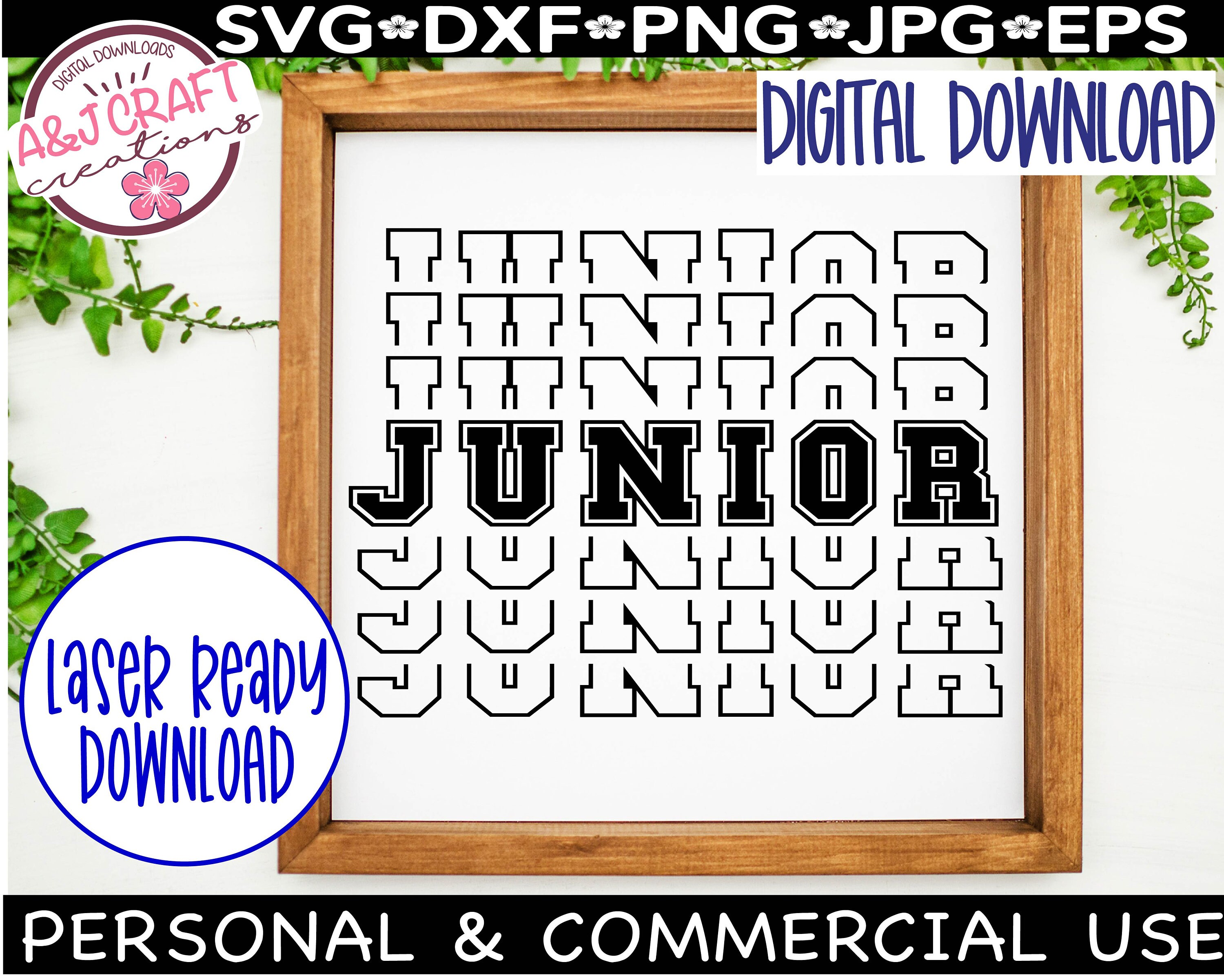 Freshman Sophomore Junior Senior Bundle SVG School Bundle - Etsy