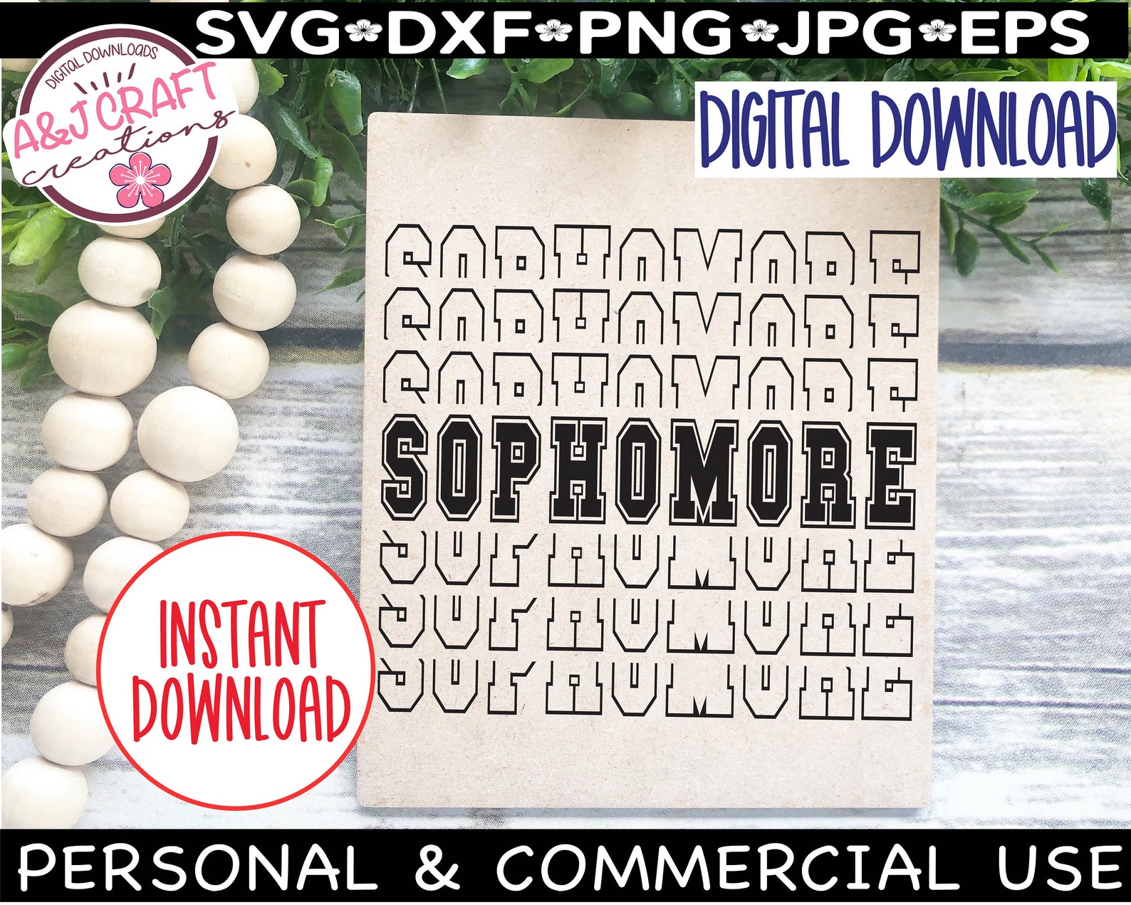 Freshman Sophomore Junior Senior Bundle SVG, School Bundle SVG, Class ...