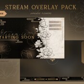 Stargate: Steampunk Starry Themed Stream Graphics for Twitch - Etsy Canada