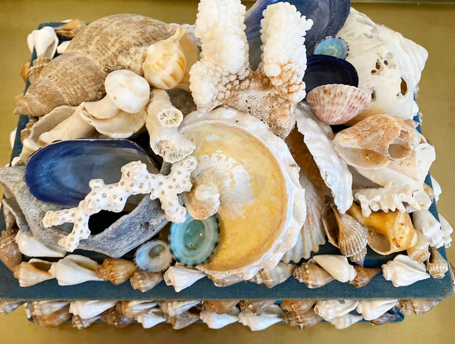 Seashell Centerpiece Seashell Jewelry Box Seashell Art Entryway Art ...