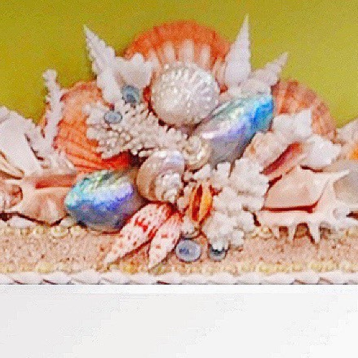 Seashell Mirror, Seashell Art, Hanging Shell Mirror, Shell Art, Coastal ...