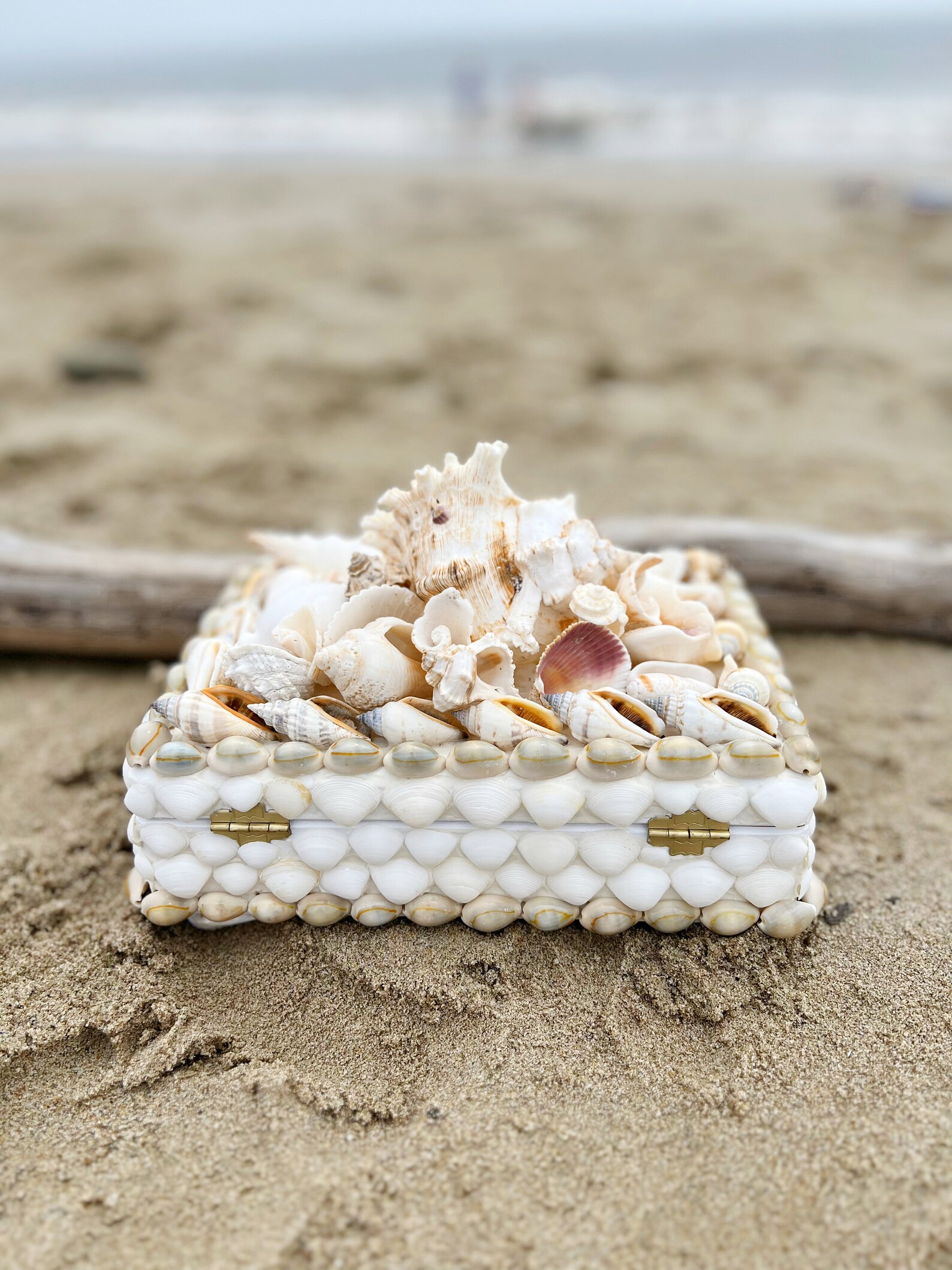 Custom Seashell Jewelry Box, Seashell Art, Decorative Box, Shell Art ...
