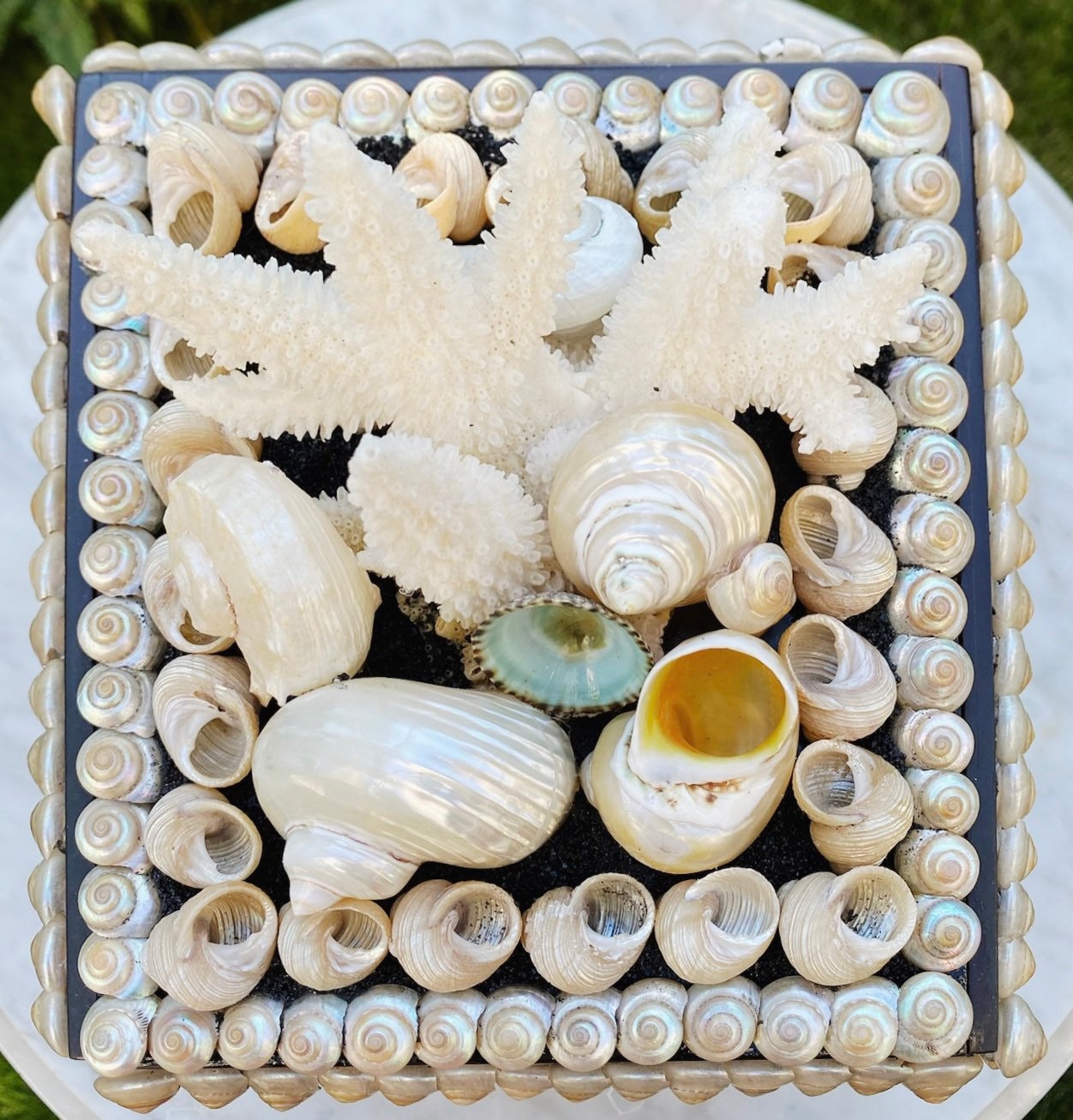 Custom Seashell Jewelry Box, Seashell Art, Decorative Box, Shell Art ...