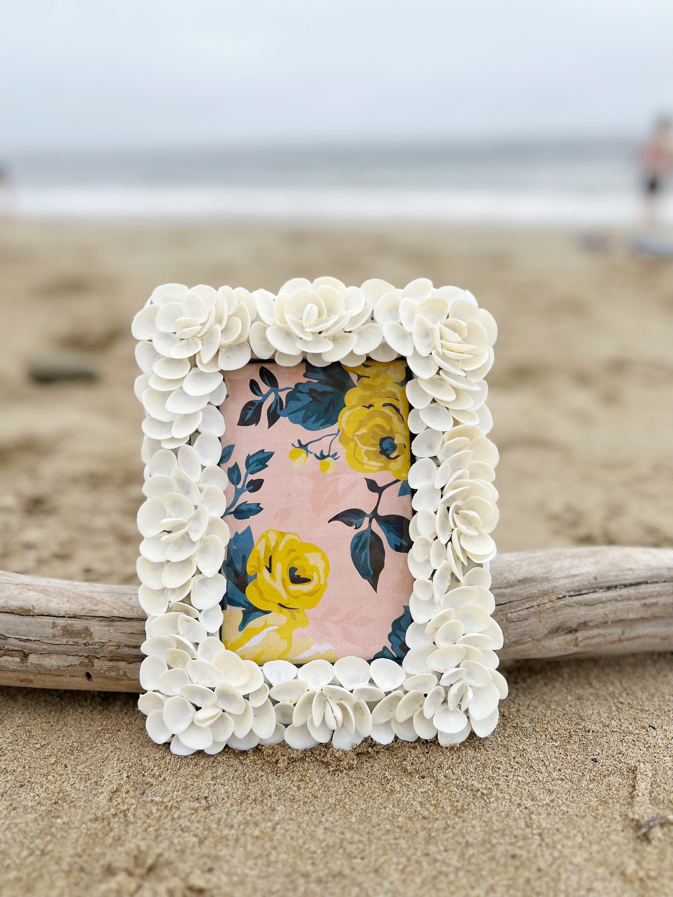 Seashell Picture Frames, Seashell Art, Decorative Shell Frame, Shell ...