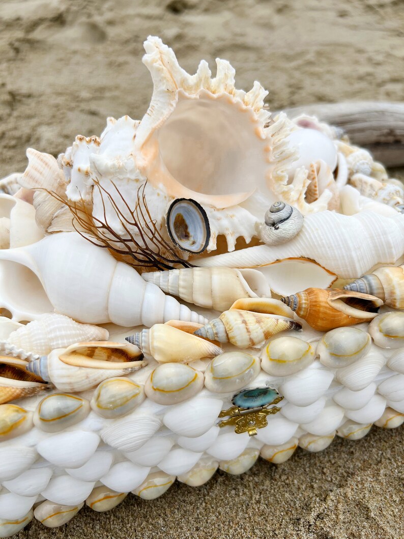 Custom Seashell Jewelry Box, Seashell Art, Decorative Box, Shell Art ...