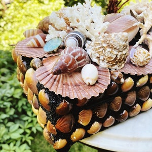 Custom Seashell Jewelry Box, Seashell Art, Decorative Box, Shell Art ...