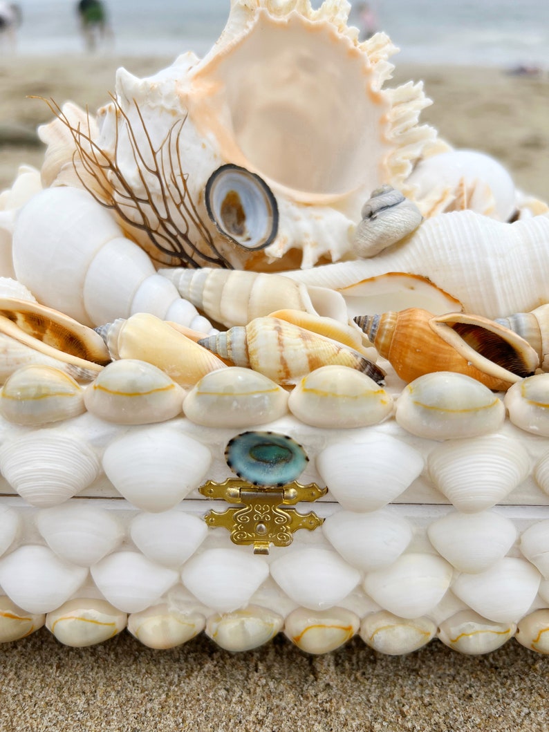 Custom Seashell Jewelry Box, Seashell Art, Decorative Box, Shell Art ...